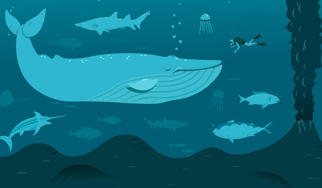 Alex Mathers the Illustration Guru | Thunder Chunky