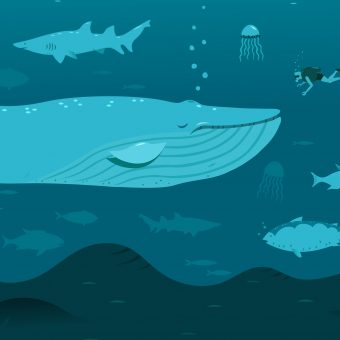 The ins and outs of TOMMY PARKER’S illustrative journey | Thunder Chunky